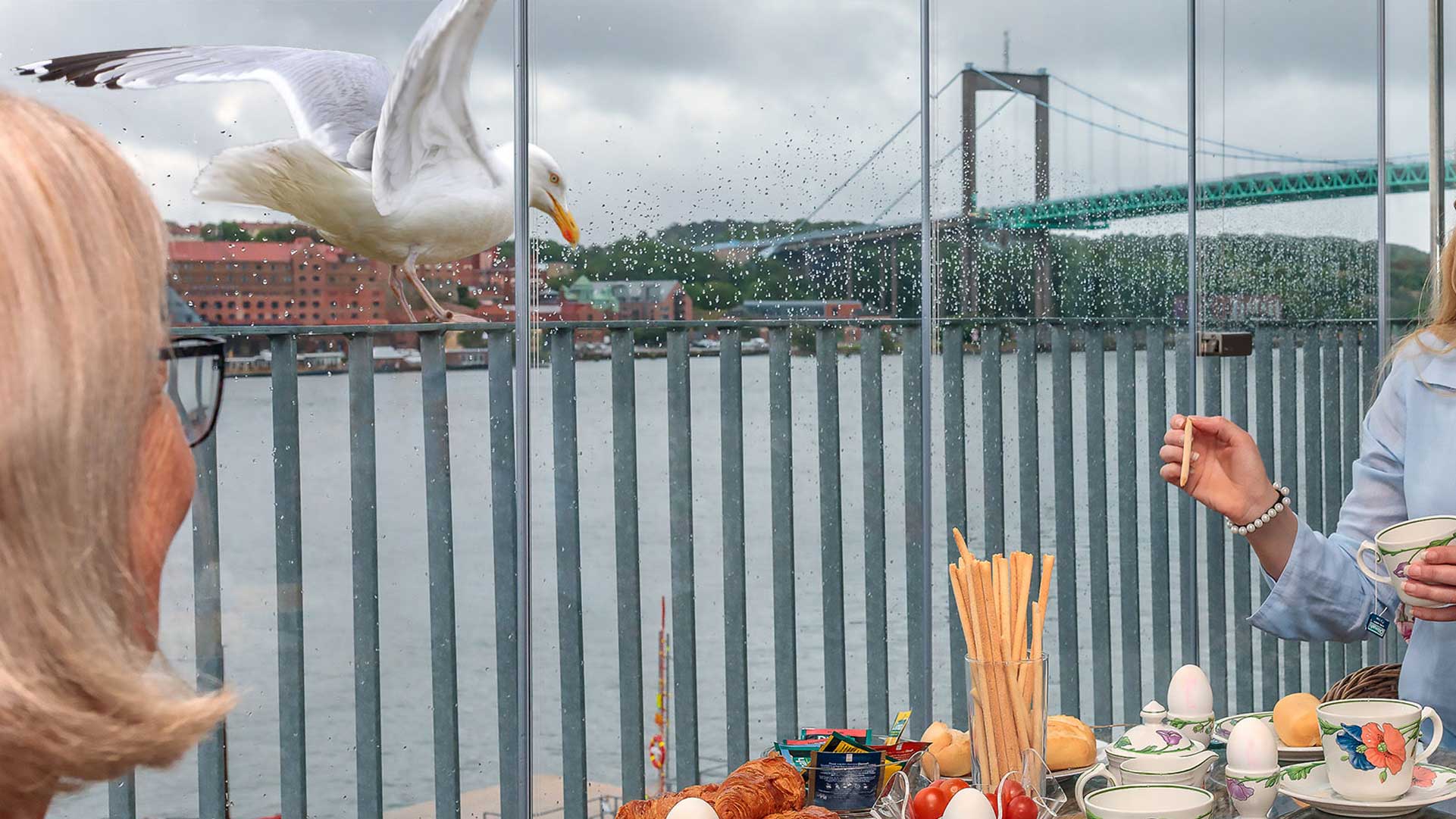Så slipper du duvor på balkongen - Lumon